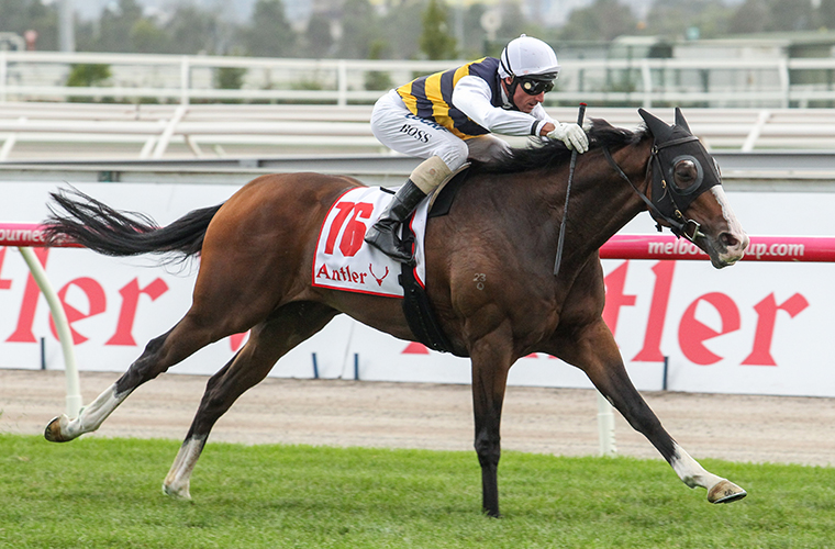 Tom Melbourne: The fan favourite | Living Legends | VRC
