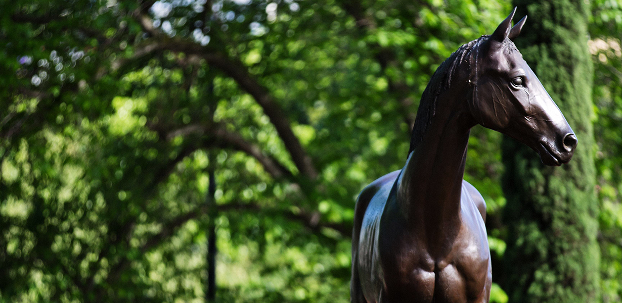 The history of the VRC