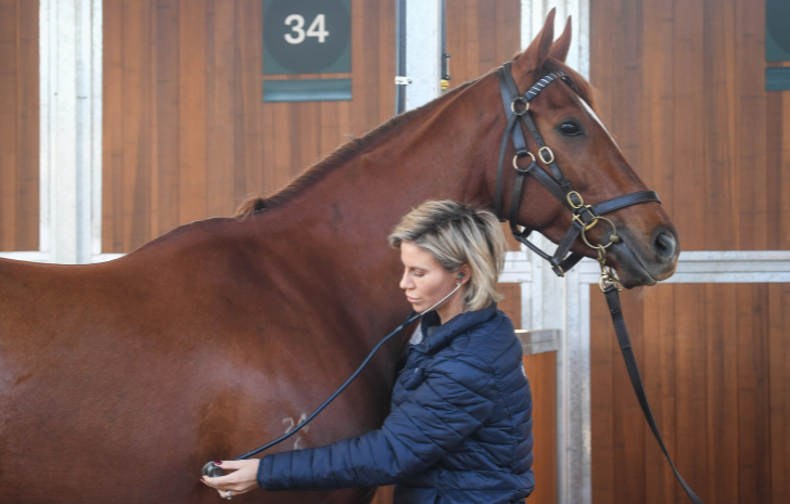 Harnessing the power of technology | Latest News | VRC