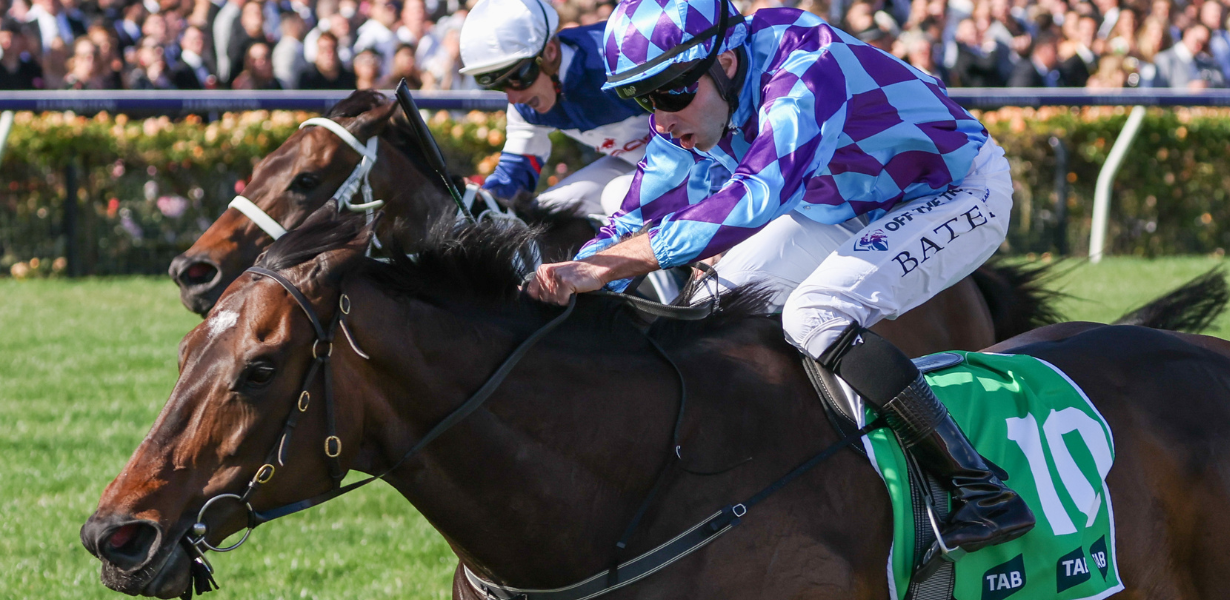 Pride Of Jenni ready for Cup challenge | Latest news | VRC