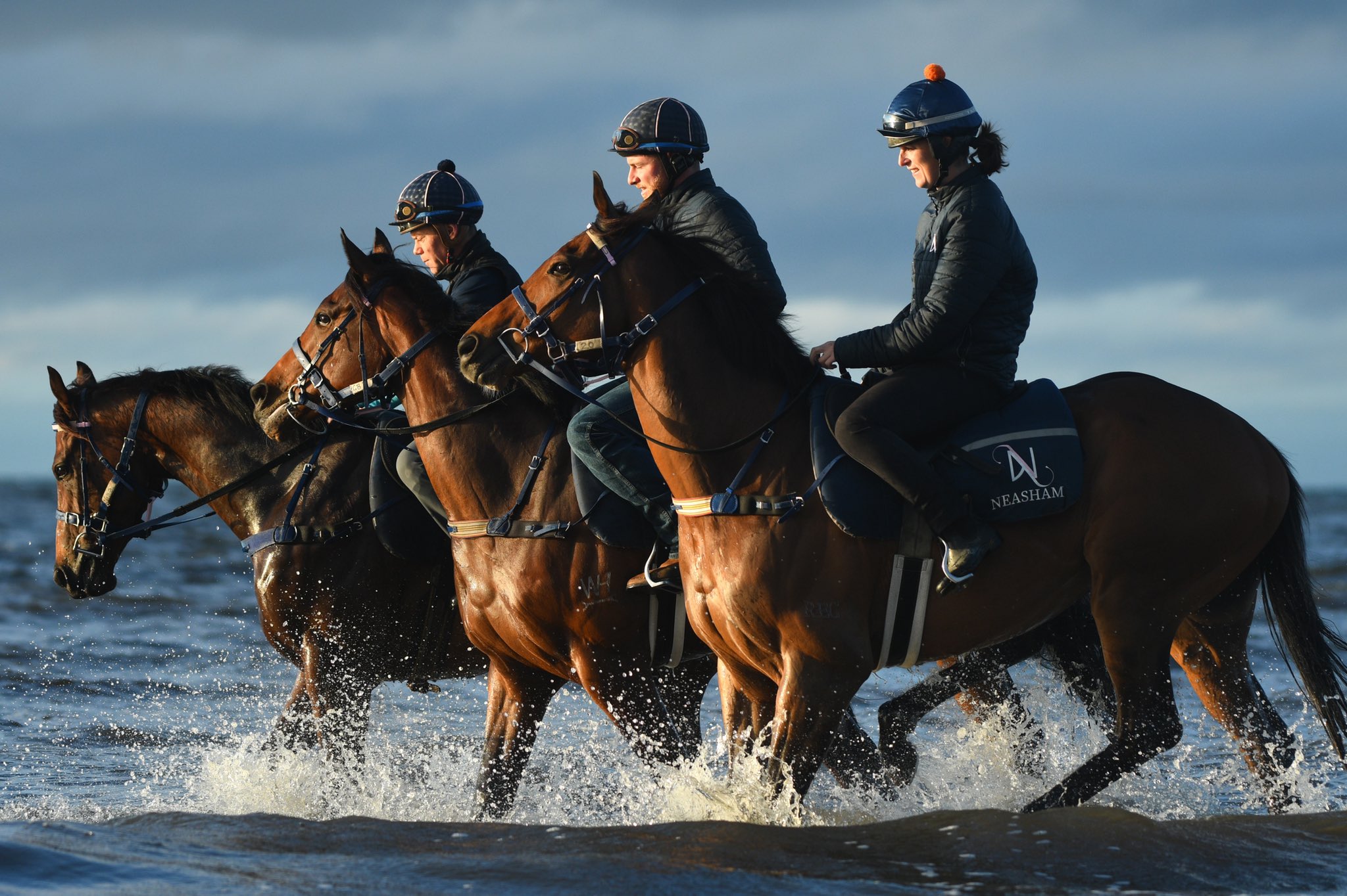 Sea Horses | Victoria Racing Club