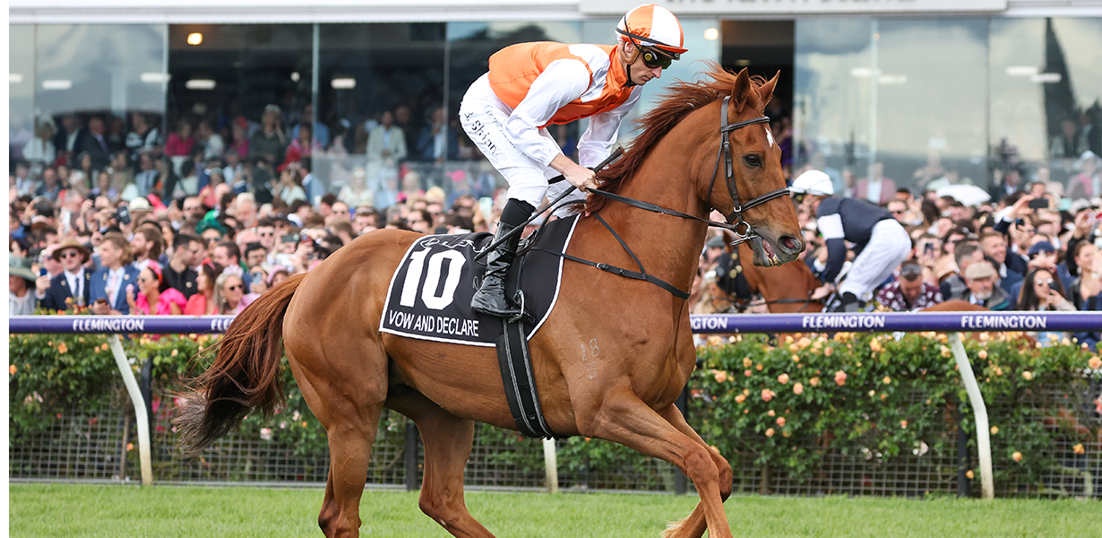 Melbourne Cup winner set to take his place in Zipping Classic