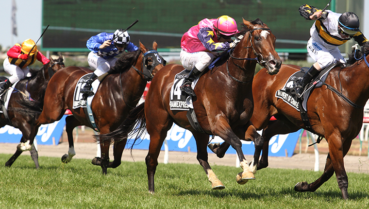 Newmarket Handicap: 150 years of the ultimate sprinting test | VRC