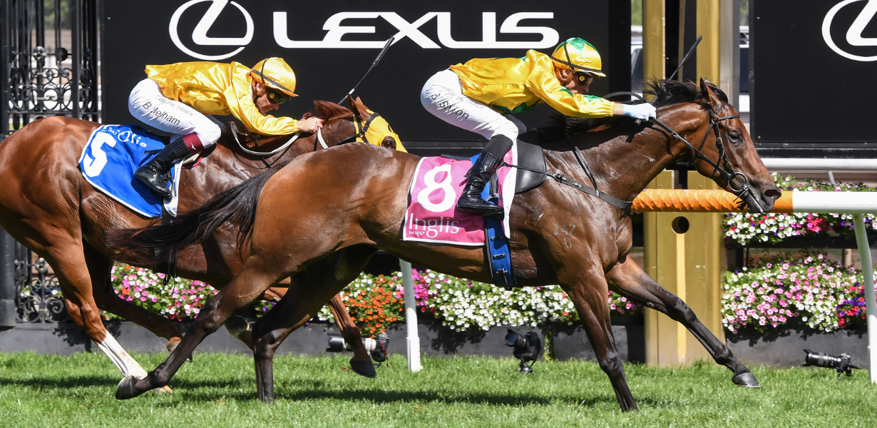 Estriella on song for Sunlight Classic | Latest News | VRC