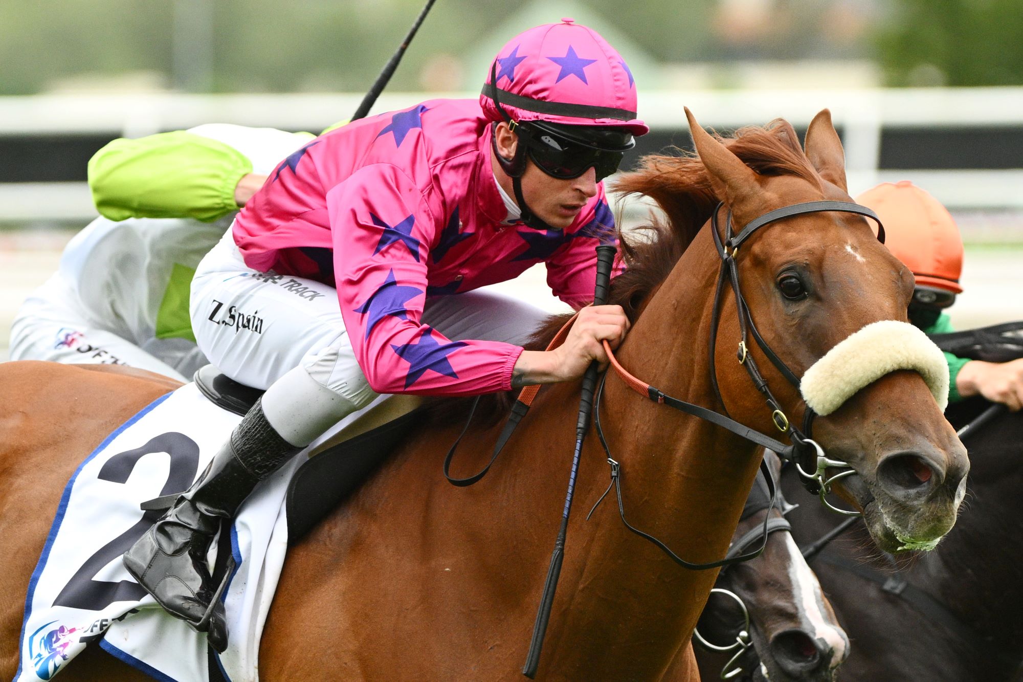 The Standish Handicap Race Day undercard