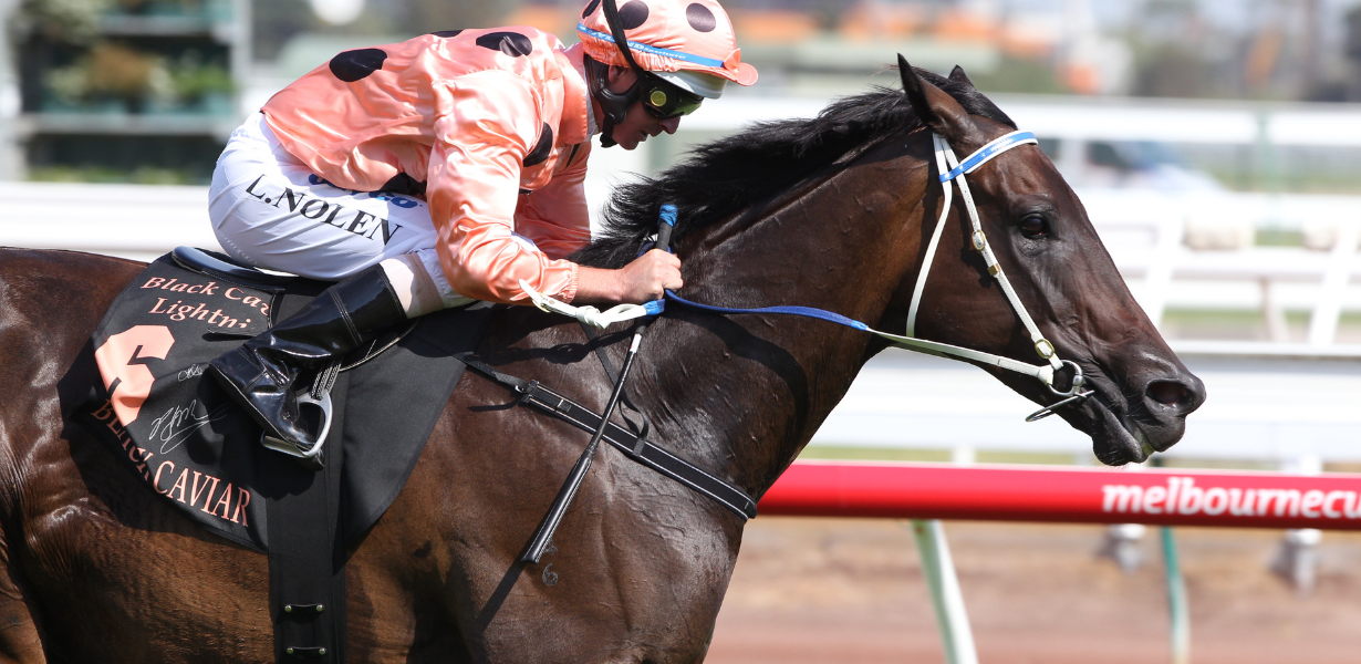 Black Caviar: A record that is hard to beat