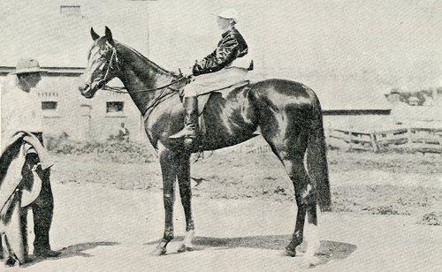 Melbourne Cup Winners Honour Roll