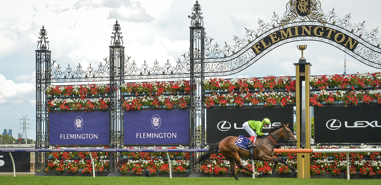 Tralee Lee is back amongst the roses | Latest News | VRC