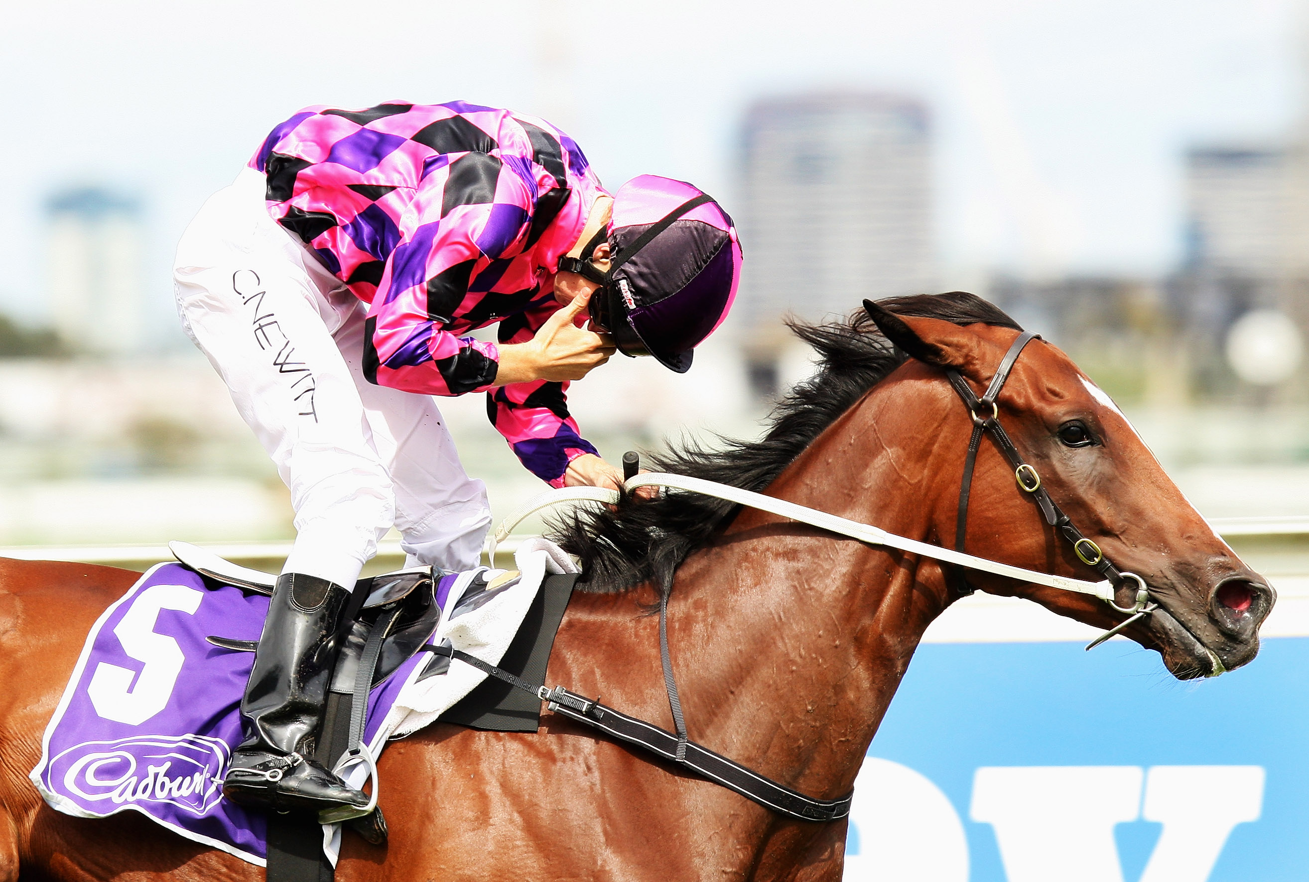 Raced with heart and soul | Victoria Racing Club