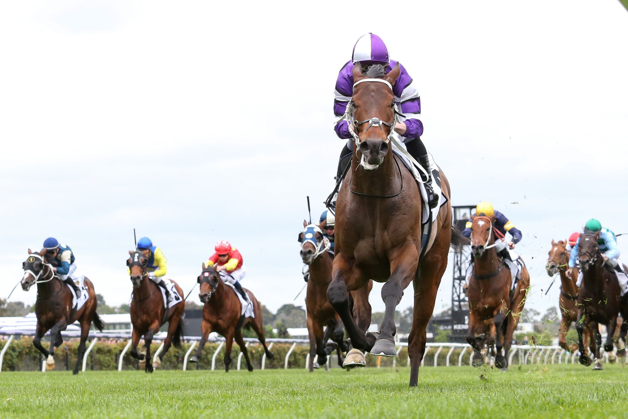 All set for intriguing edition of Penfolds Victoria Derby