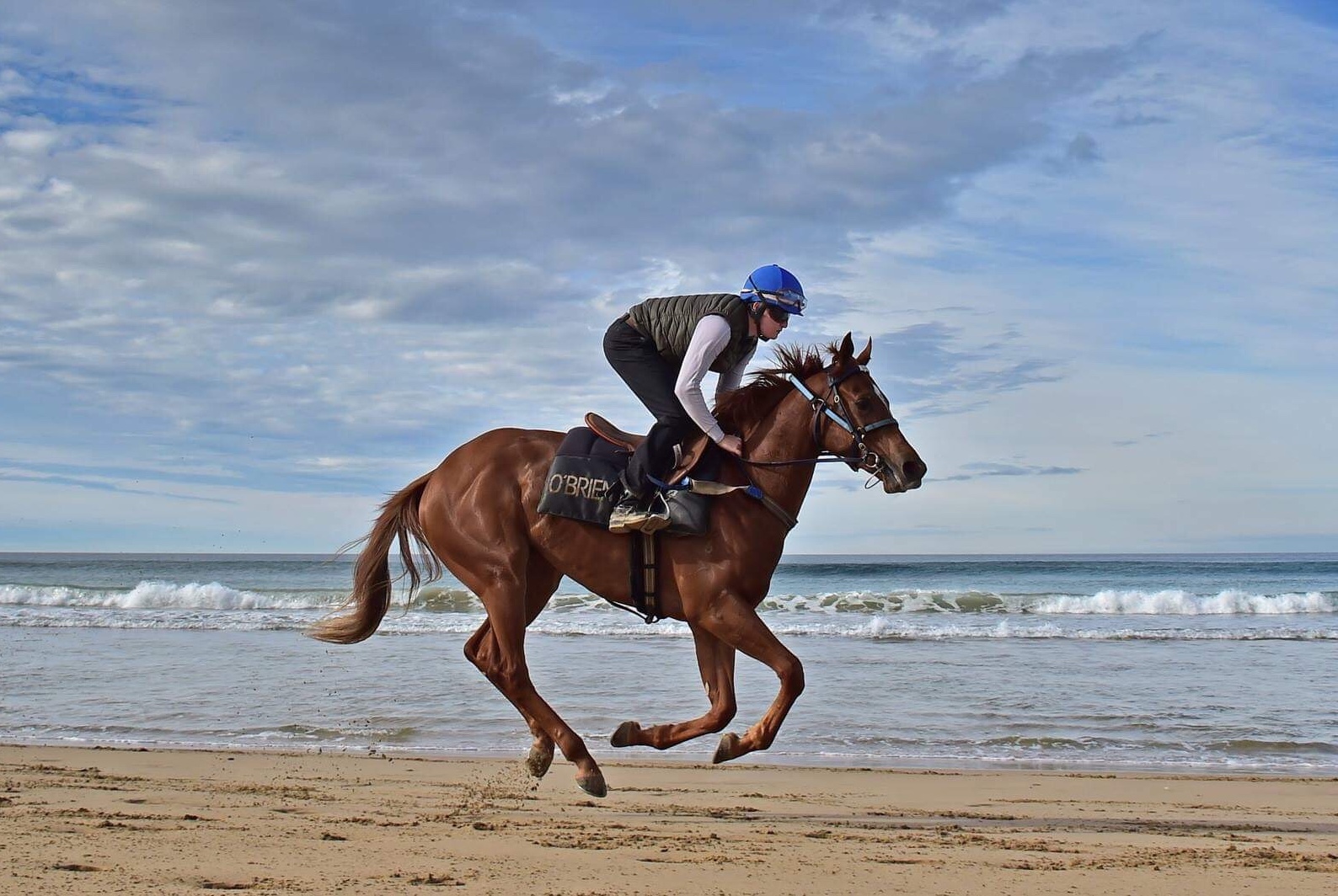 Sea Horses | Victoria Racing Club