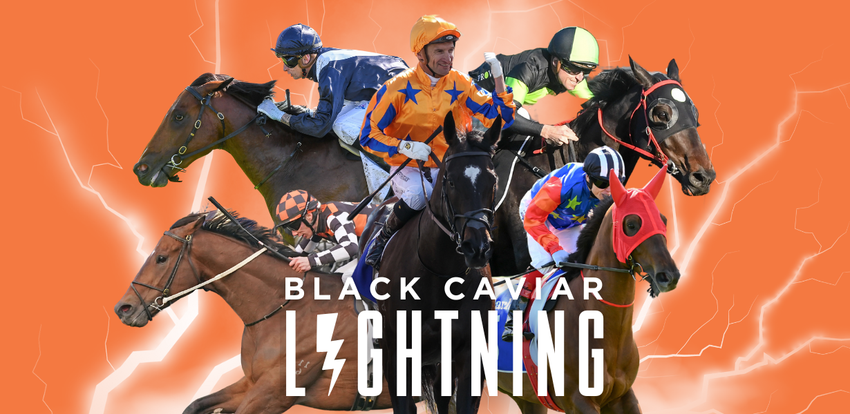 Black Caviar Lightning contenders | Latest News | VRC