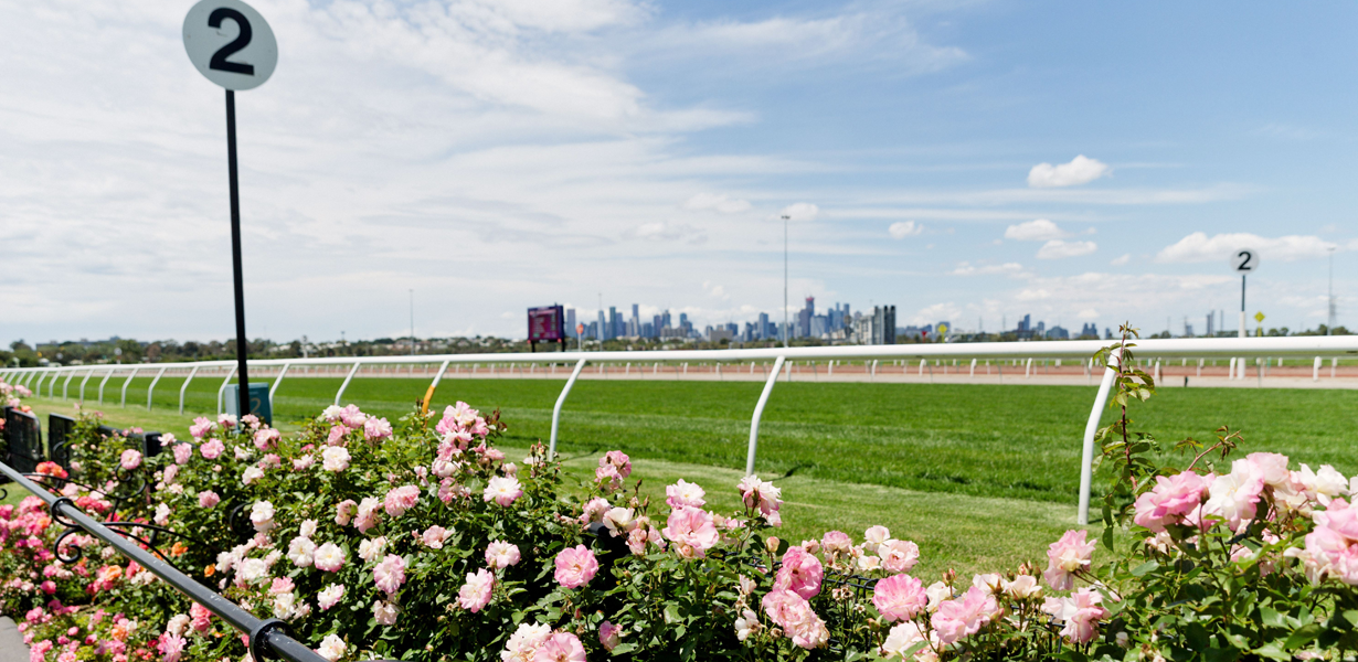 Local residents event information