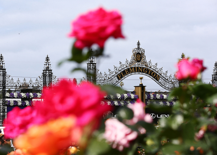 It’s all roses at Flemington | Latest News | VRC