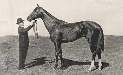 Melbourne Cup Winners Honour Roll