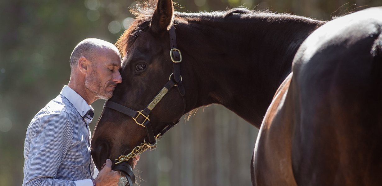 Makybe Diva – From champion to legend | VRC