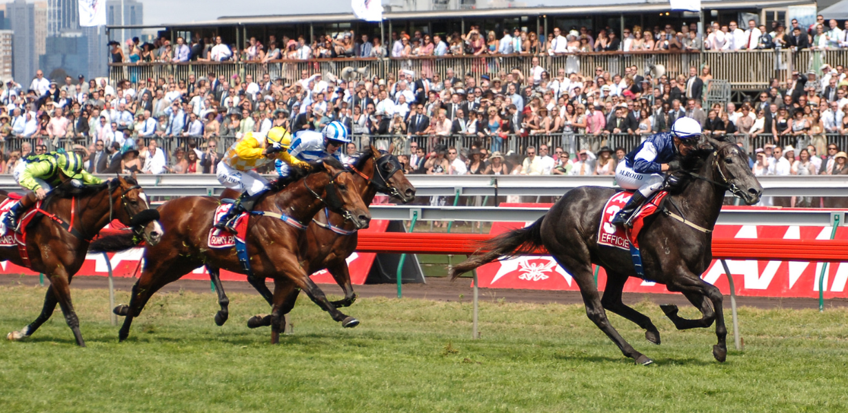 Penfolds Victoria Derby Day Magic: The Filly and the Drongo | Latest ...