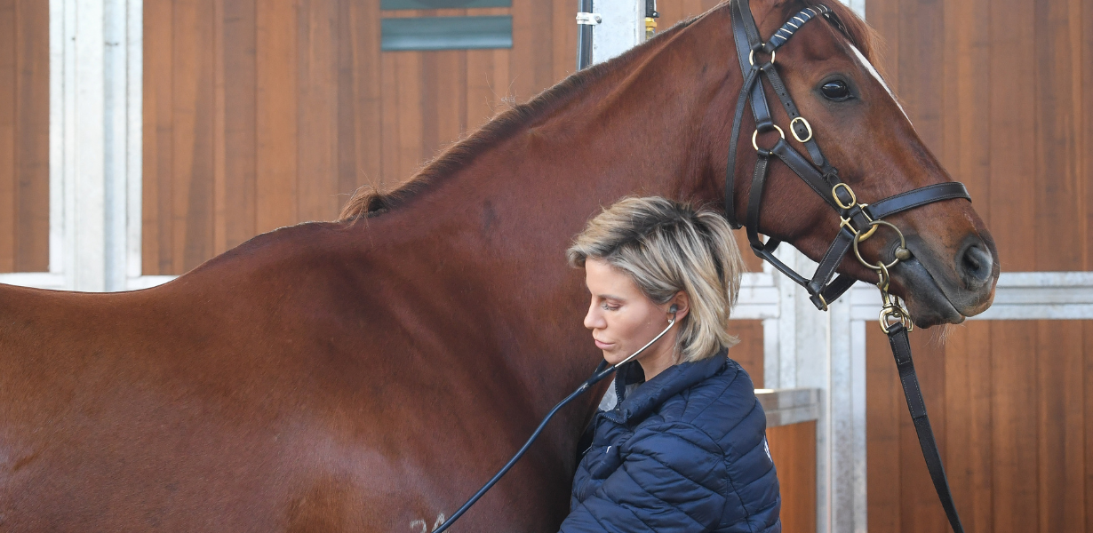 Harnessing the power of technology | Latest News | VRC