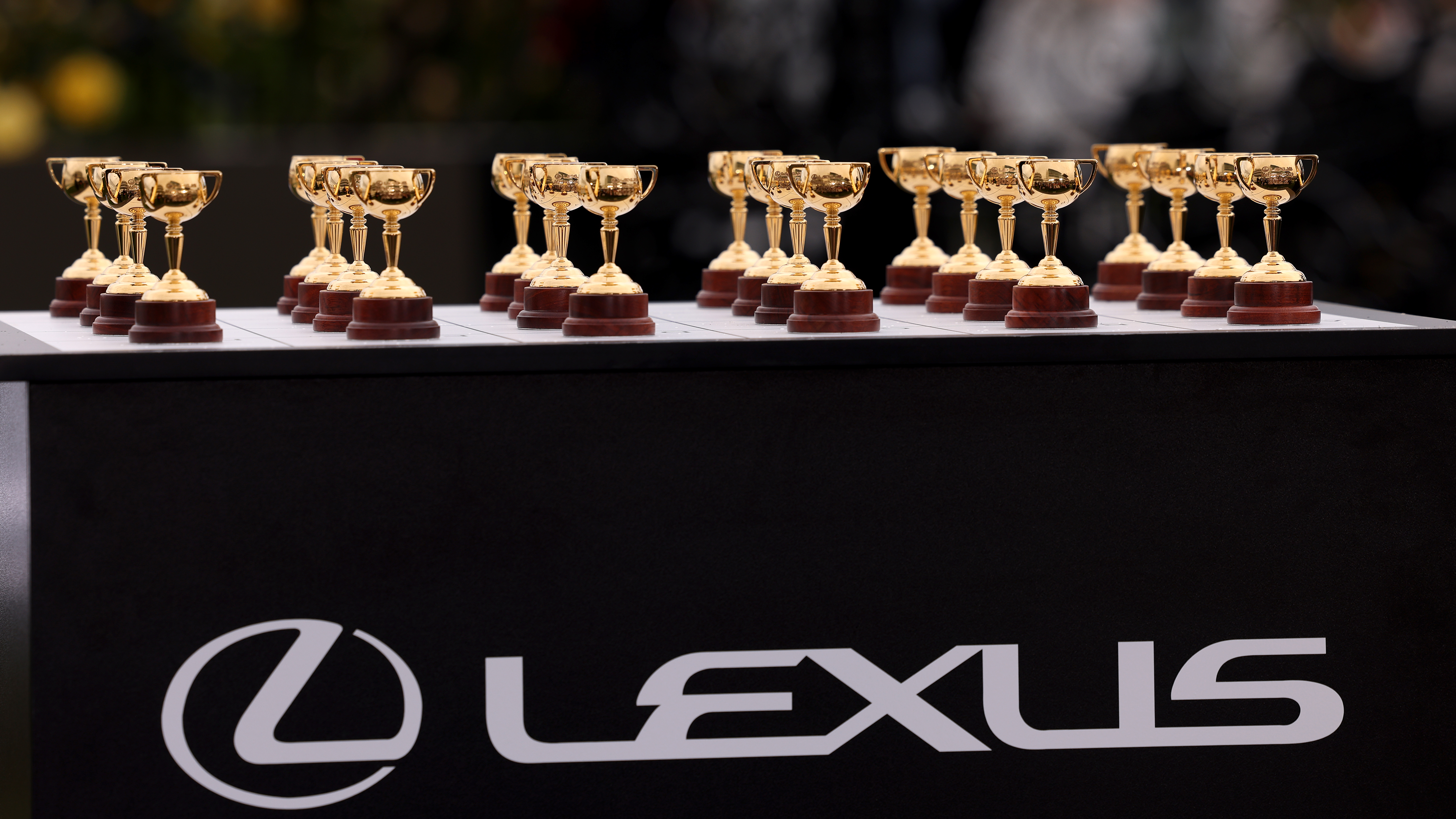 The quality of the internationals in the Lexus Melbourne Cup