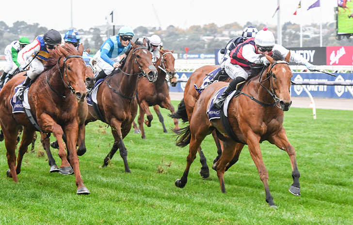 King Magnus right to go in Final | Latest News | VRC