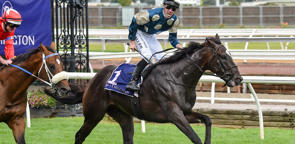 Derby and Guineas winner Hitotsu retired | Latest News | VRC